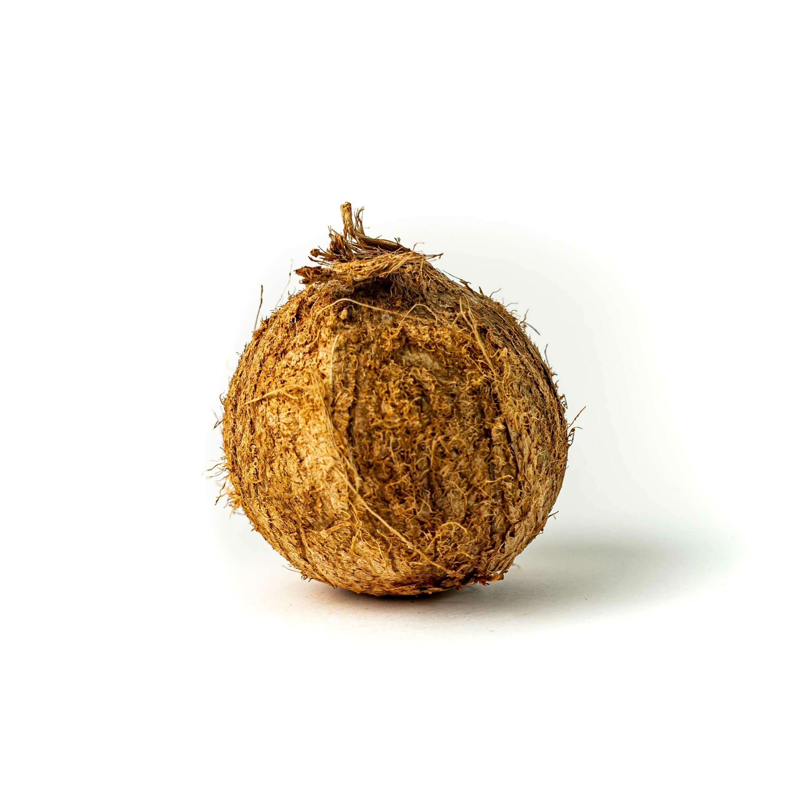 Coco-seco-Organico-scaled-min – A Boa Terra :: A Boa Terra Essência ...